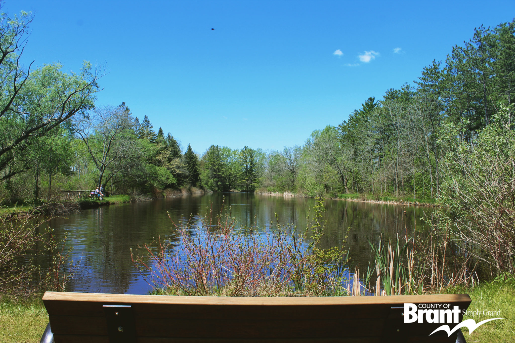 County of Brant to celebrate Queen’s Jubilee | BrantBeacon