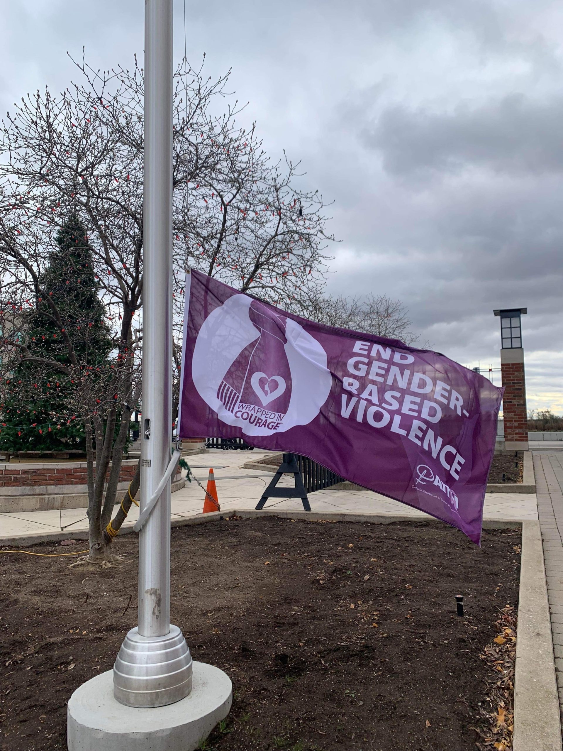Wrapped in Courage flag raisings bring awareness to gender-based ...