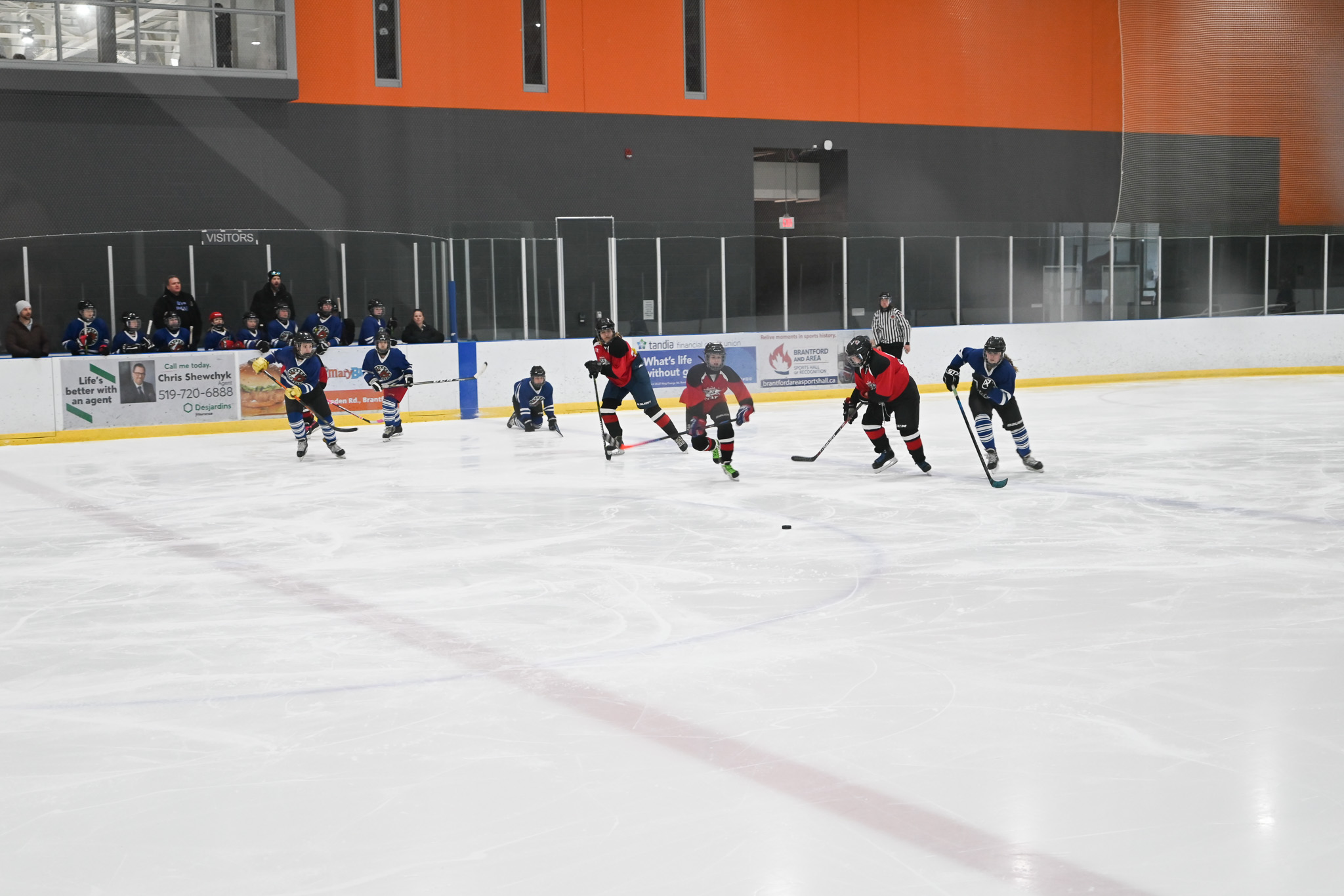 London Devilettes Blue skate past Ice Cats | BrantBeacon