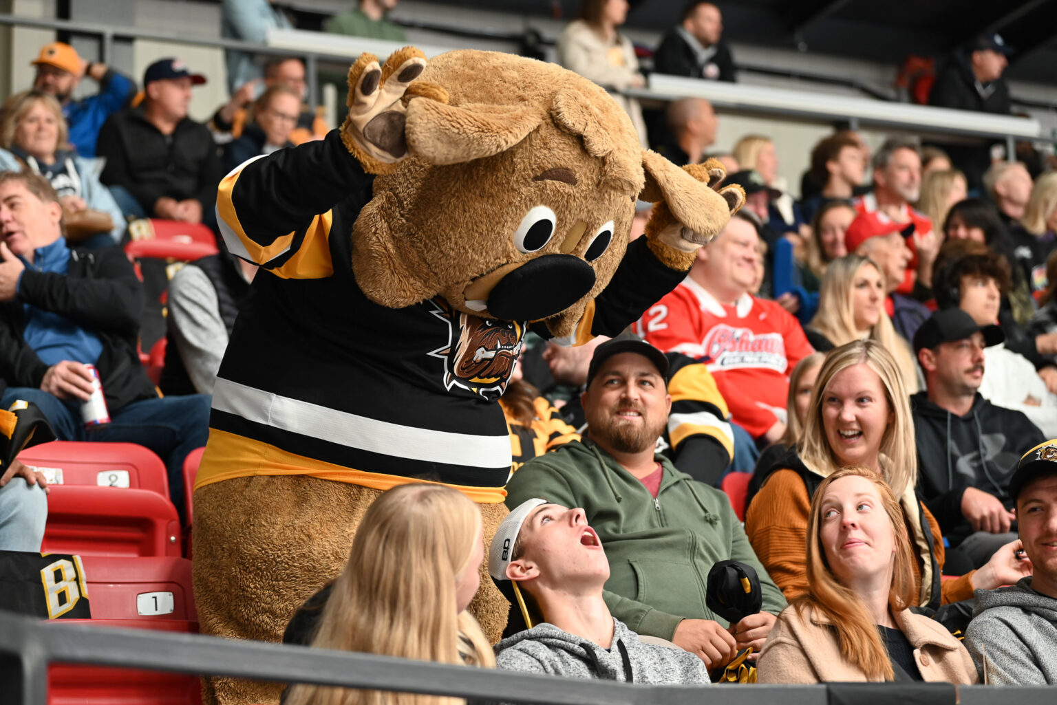 Thousands witness historic win for Brantford Bulldogs | BrantBeacon