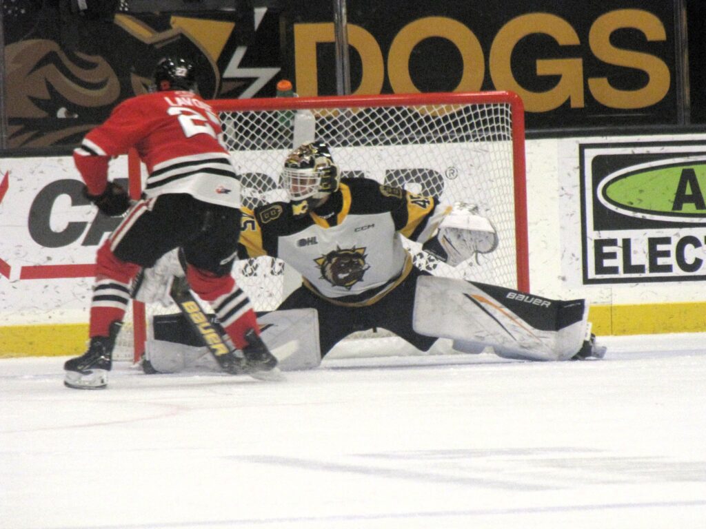 Brantford Bulldogs claw their way past IceDogs | BrantBeacon