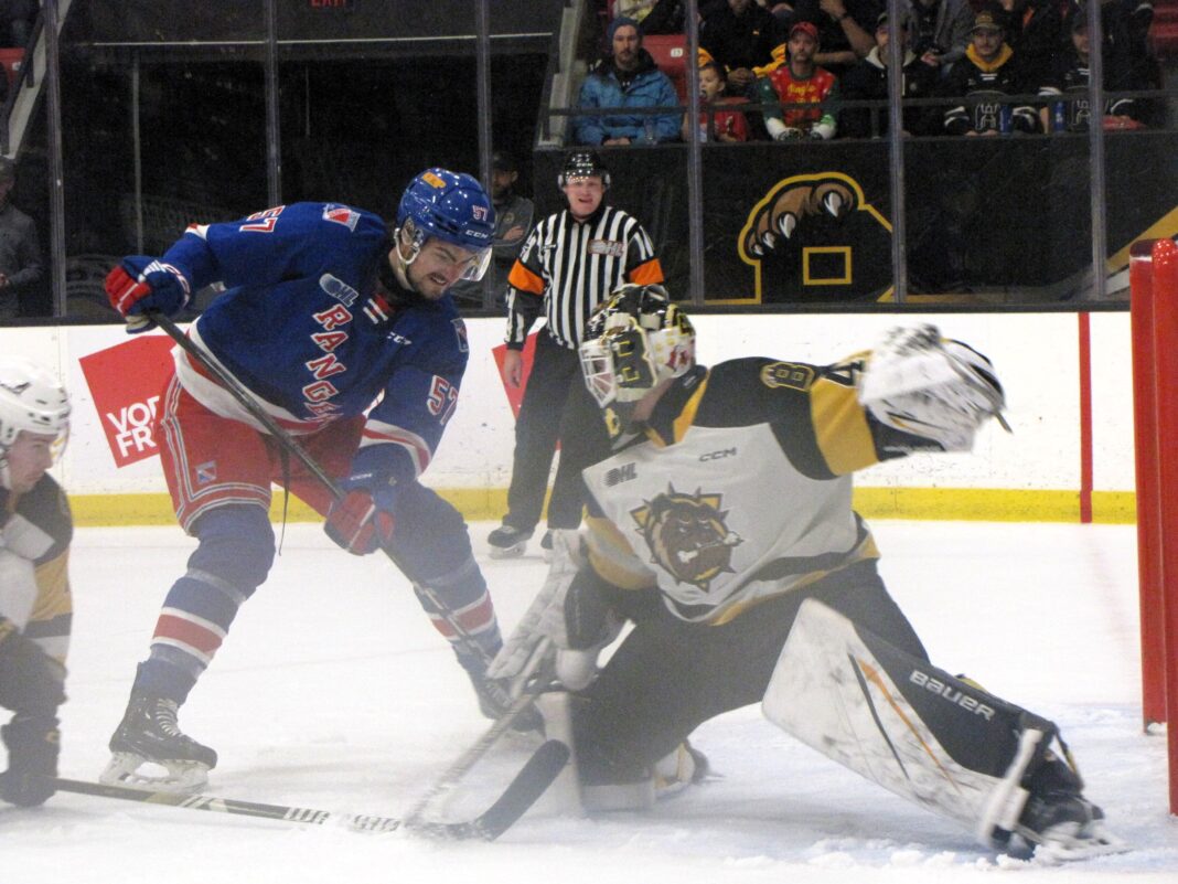 Bulldogs rally past Kitchener Rangers in overtime | BrantBeacon
