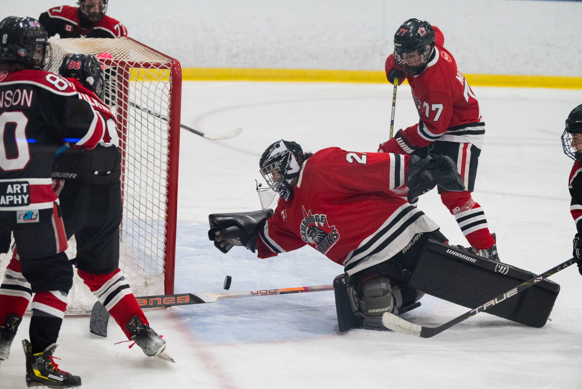 Brantford 99ers defeat Hawks to earn U-13 title | BrantBeacon