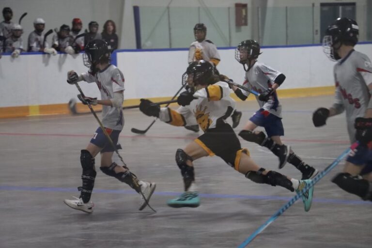 Ball hockey program promotes respect and loyalty | BrantBeacon