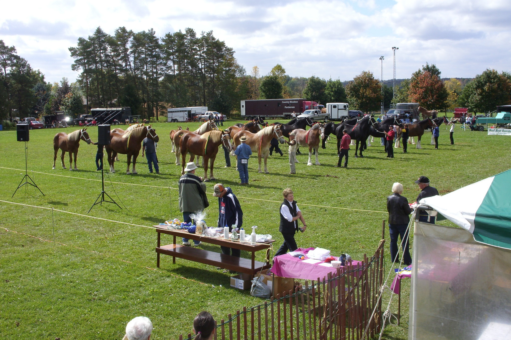 Annual Drumbo Fair to celebrate 175 years | BrantBeacon