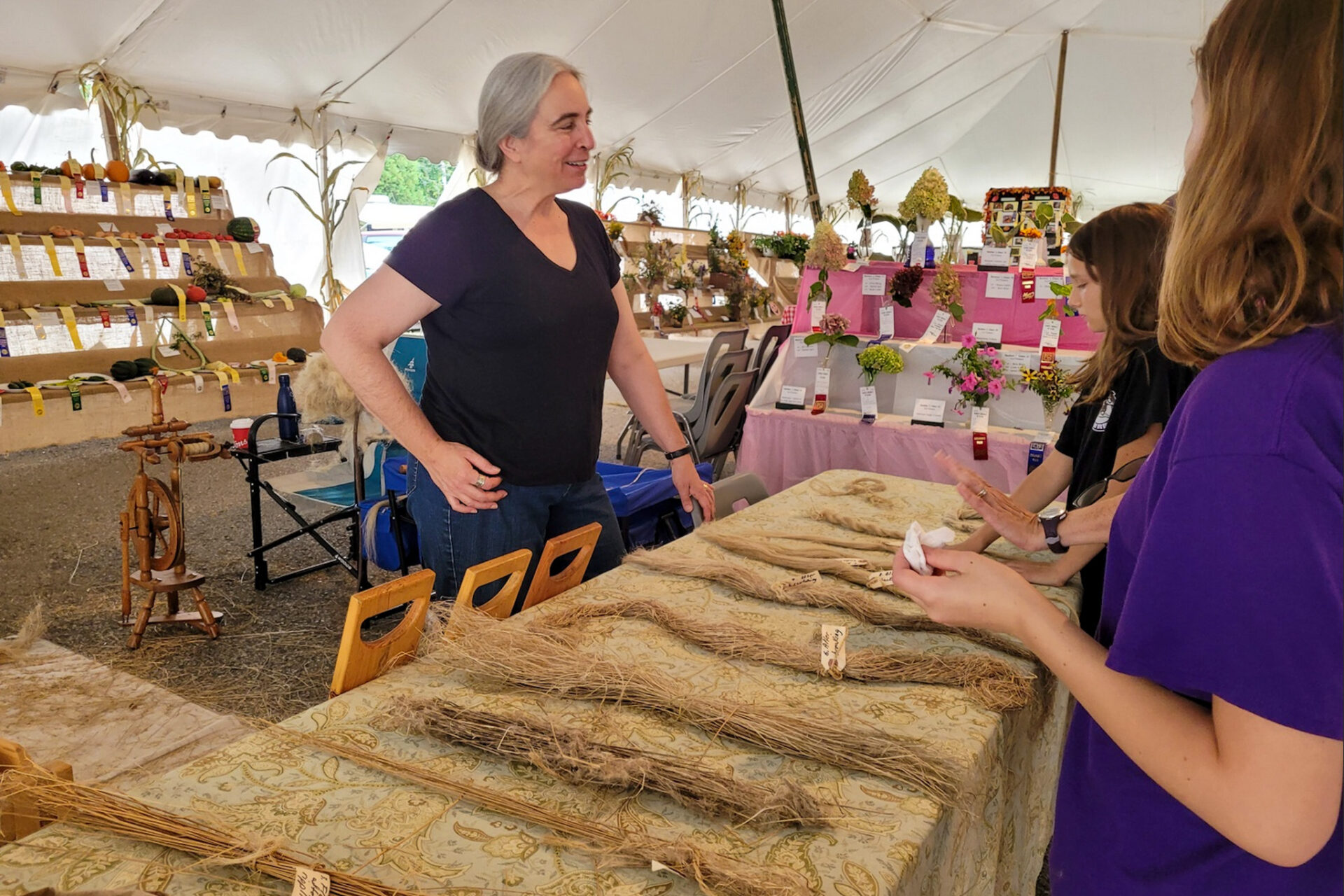 Annual Drumbo Fair to celebrate 175 years | BrantBeacon
