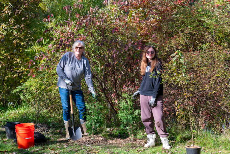 Volunteers plant 450 trees at Mount Pleasant park | BrantBeacon