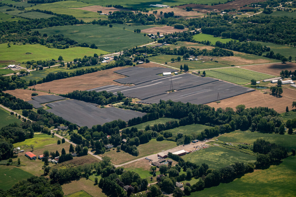 County launches consultation on draft Rural Prosperity Plan | BrantBeacon