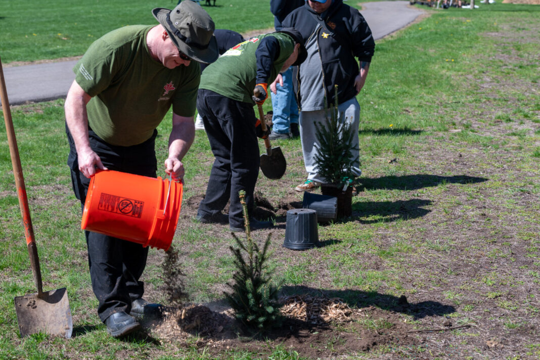 Tree planting events planned for Earth Week | BrantBeacon